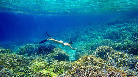 Fritidsresor har bytt namn till TUI - Om TUI | TUI.se