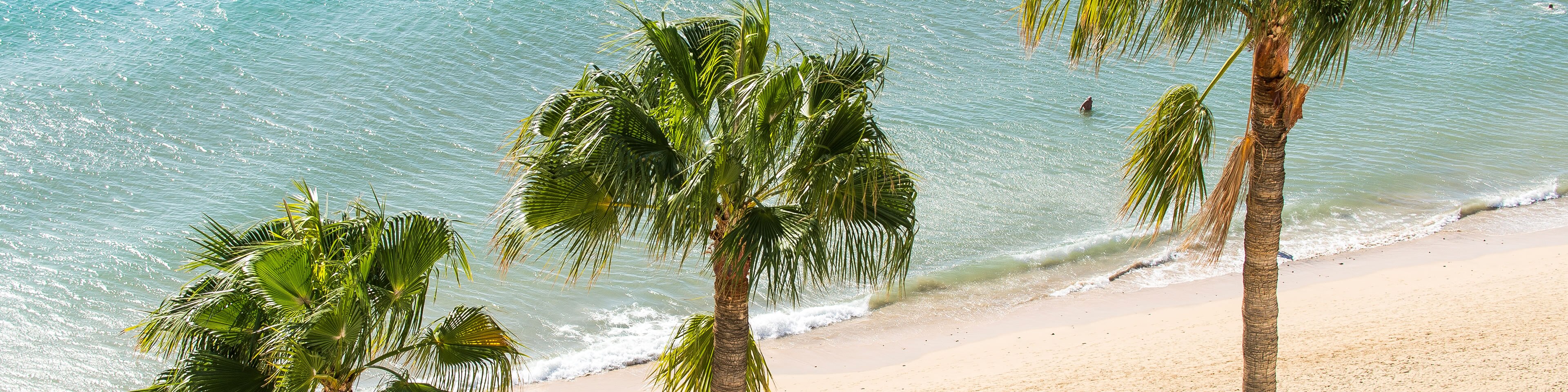 Boka din drömresa med TUI – flyg, hotell, kryssning & charter